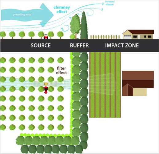 The Two Faces of the Vegetated Buffer - British Columbia Organic Grower