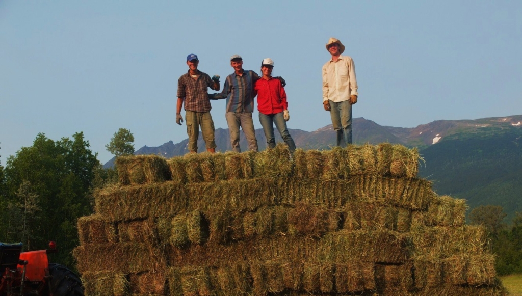 Organic Stories: Farming on the Edge at WoodGrain Farm - British ...