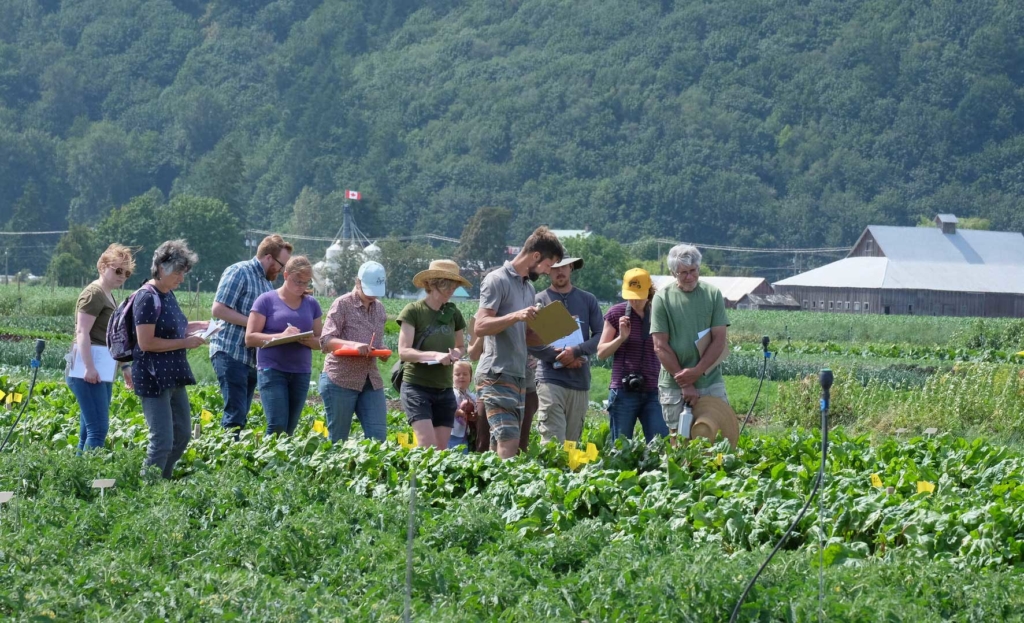 The BC Seed Trials - British Columbia Organic Grower