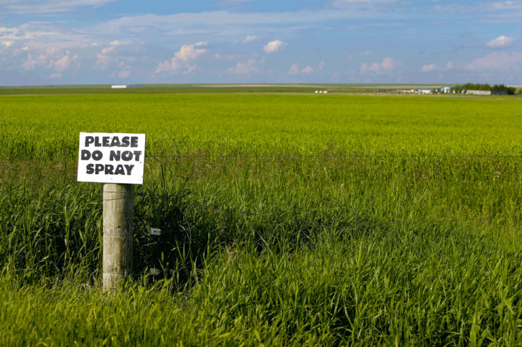 The Prairie Organic Grain Initiative - British Columbia Organic Grower