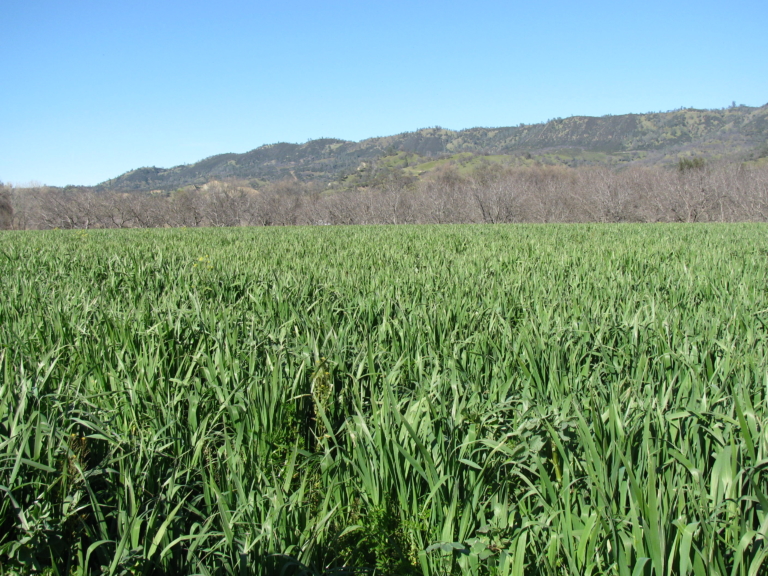 pasture management Archives - British Columbia Organic Grower