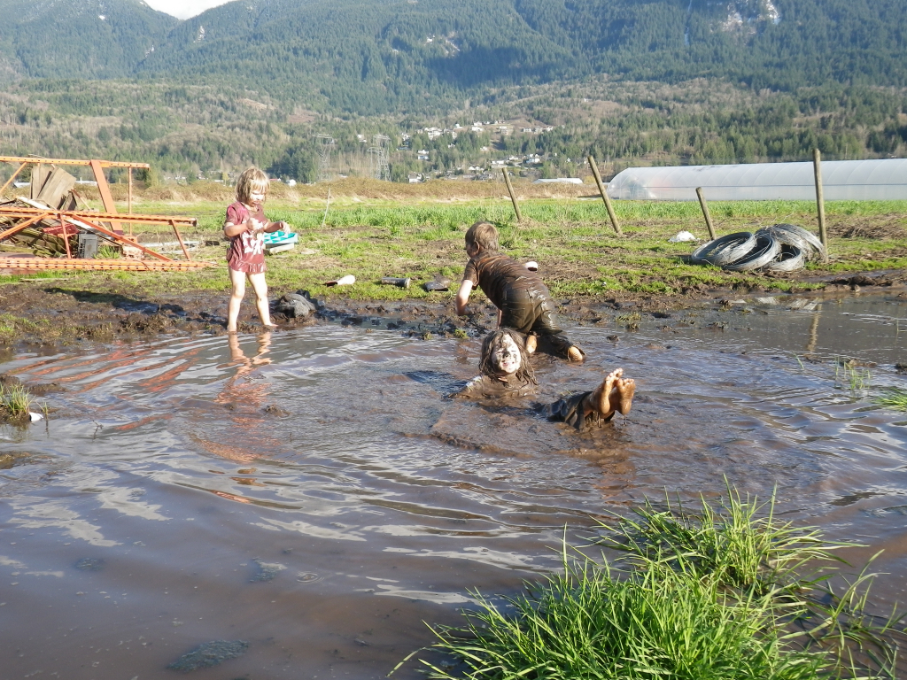 Organic Stories: Forstbauer Farm - Stó:lo Territory, Chilliwack, BC ...