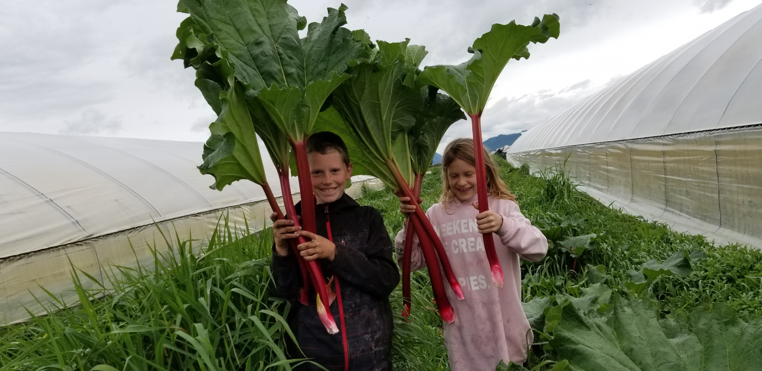 Organic Leadership - British Columbia Organic Grower