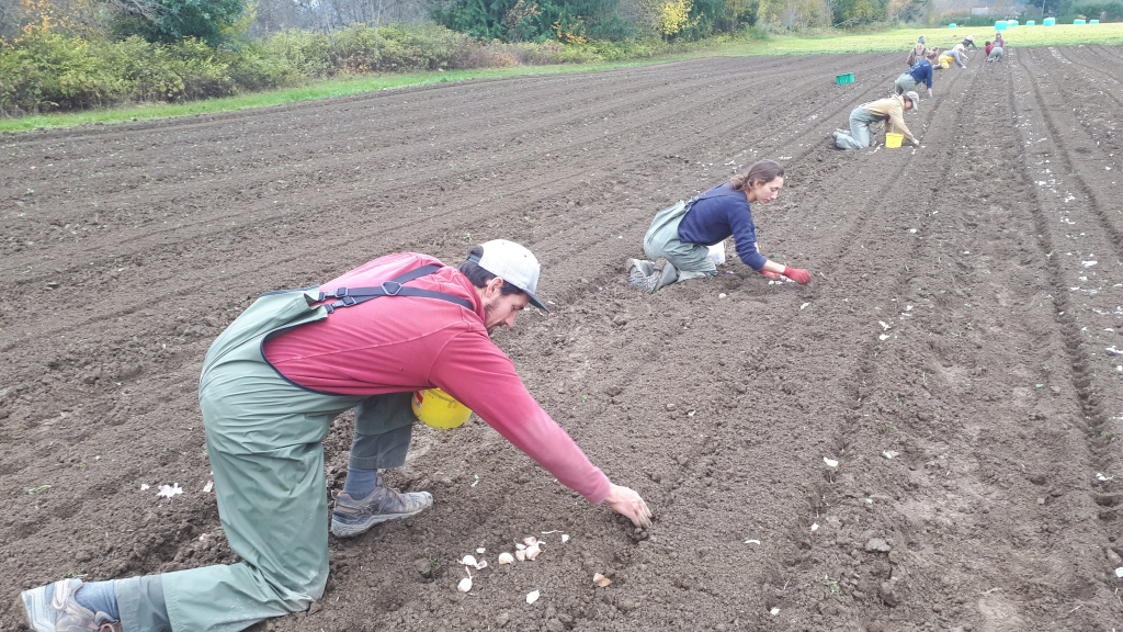 Organic Stories: Wildflight Farm - Secwepemeceulecw, Mara BC - British ...