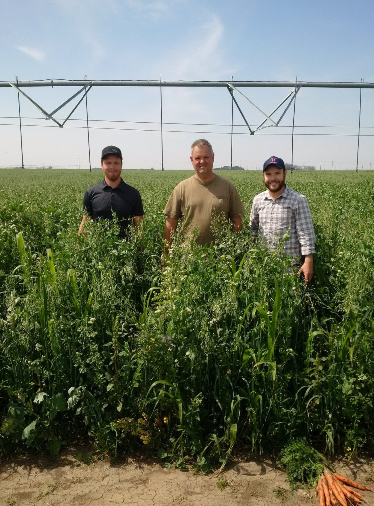 The More the Better? Multi-Species vs Single-Species Cover Crops for ...